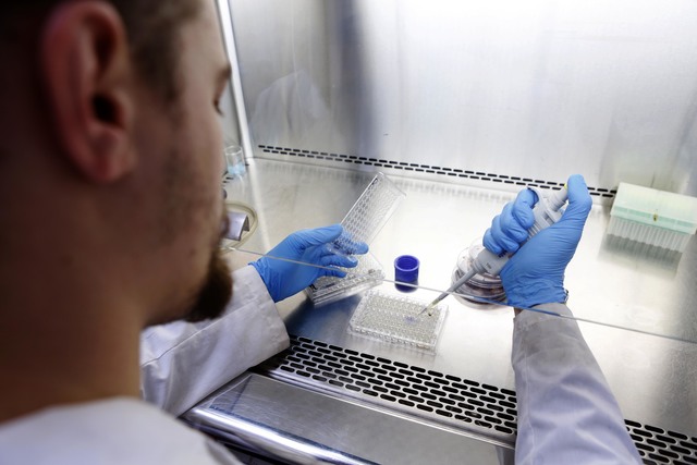 Diseñan nanopartículas para mejorar tratamientos contra el cáncer Diseñan nanopartículas para mejorar tratamientos contra el cáncer