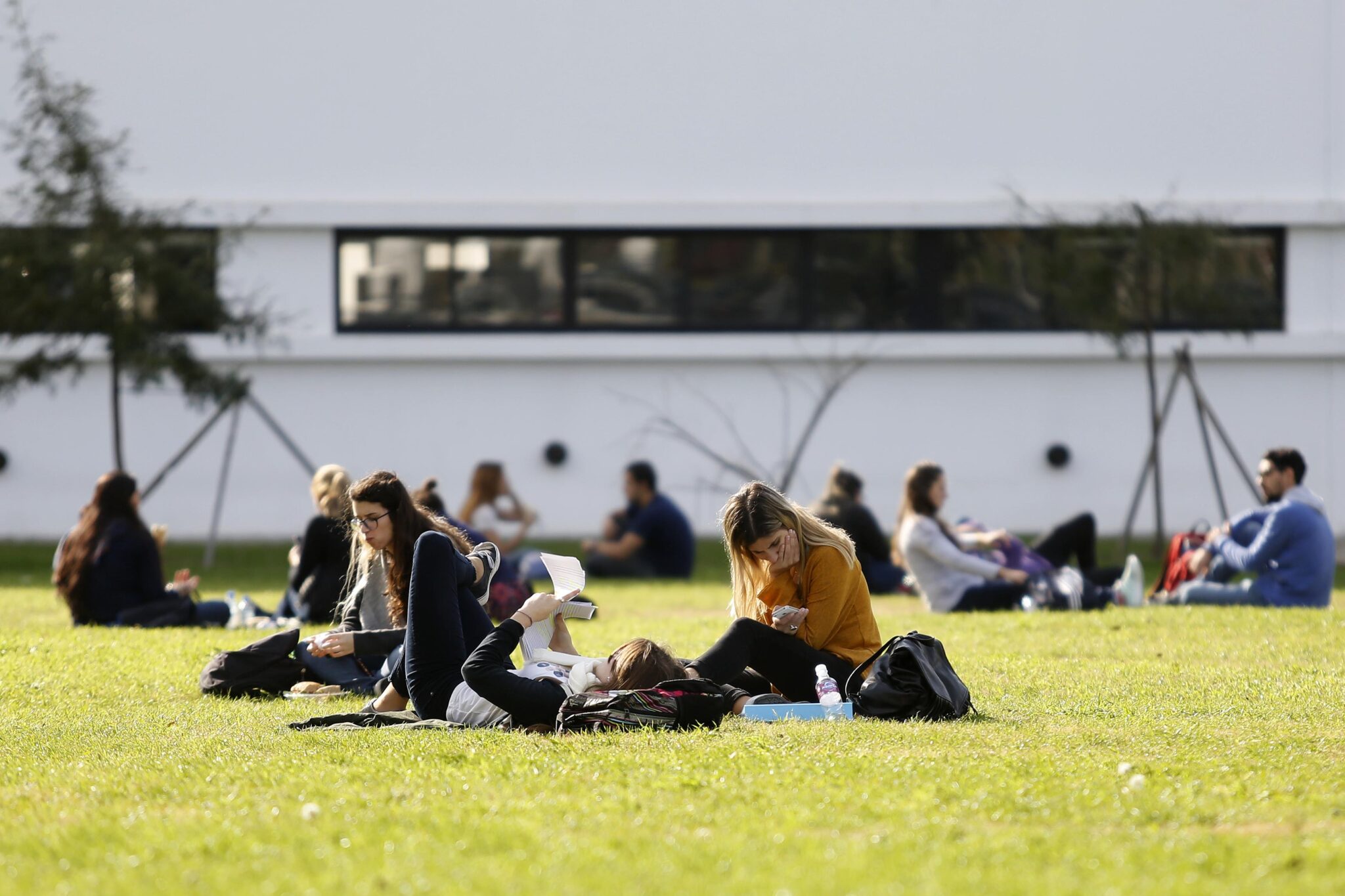 Destacada participación de la UNLP en el Ranking Global de ...